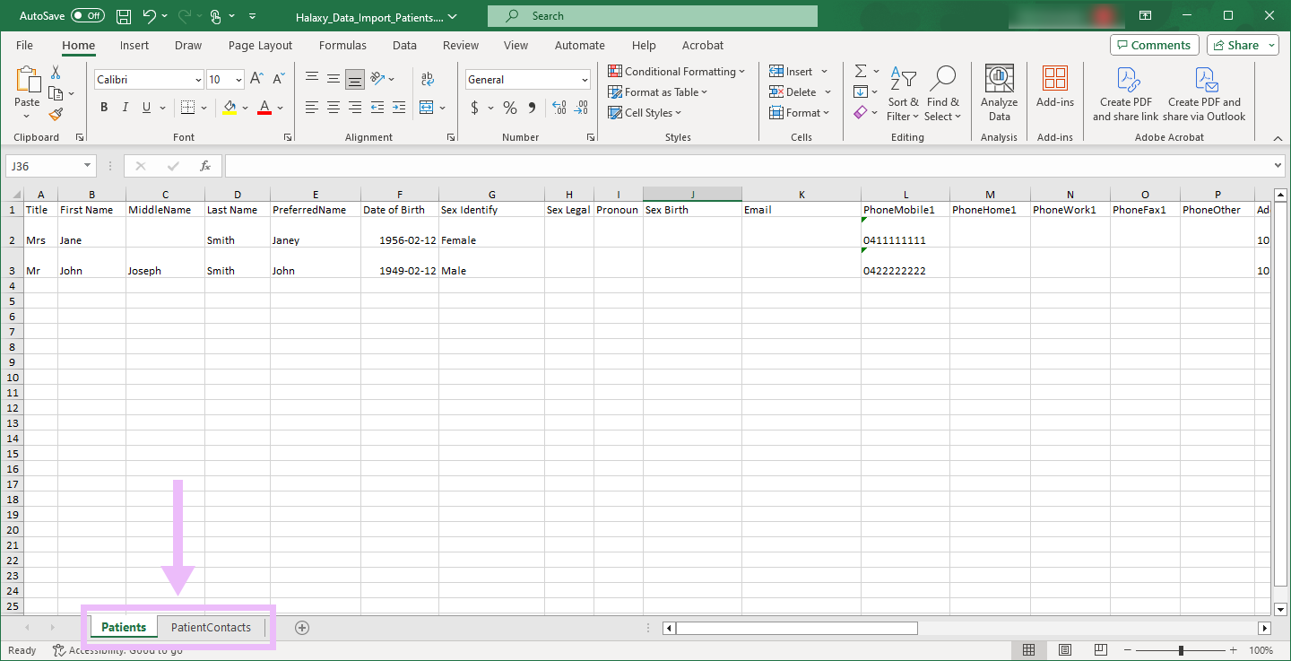 Import your practice data to Halaxy – Halaxy Help Guide